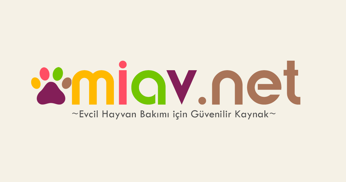 miav.net - Evcil Hayvan Bakımı